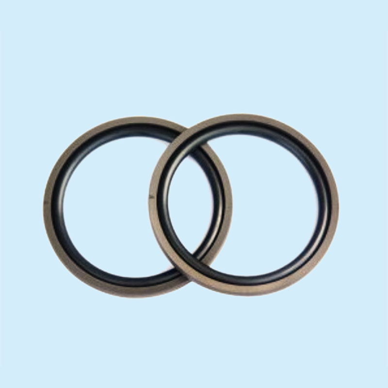 Glyd Ring - Ningbo Circle Square Seals Co.,Ltd.